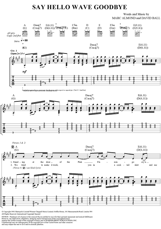 Say Hello Wave Goodbye" Sheet Music by David Gray for Guitar Tab/Vocal - Sheet Music Now
